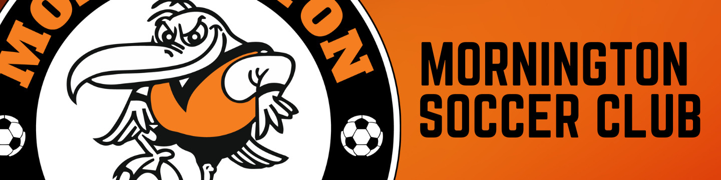 Veo | Level Up Your Game