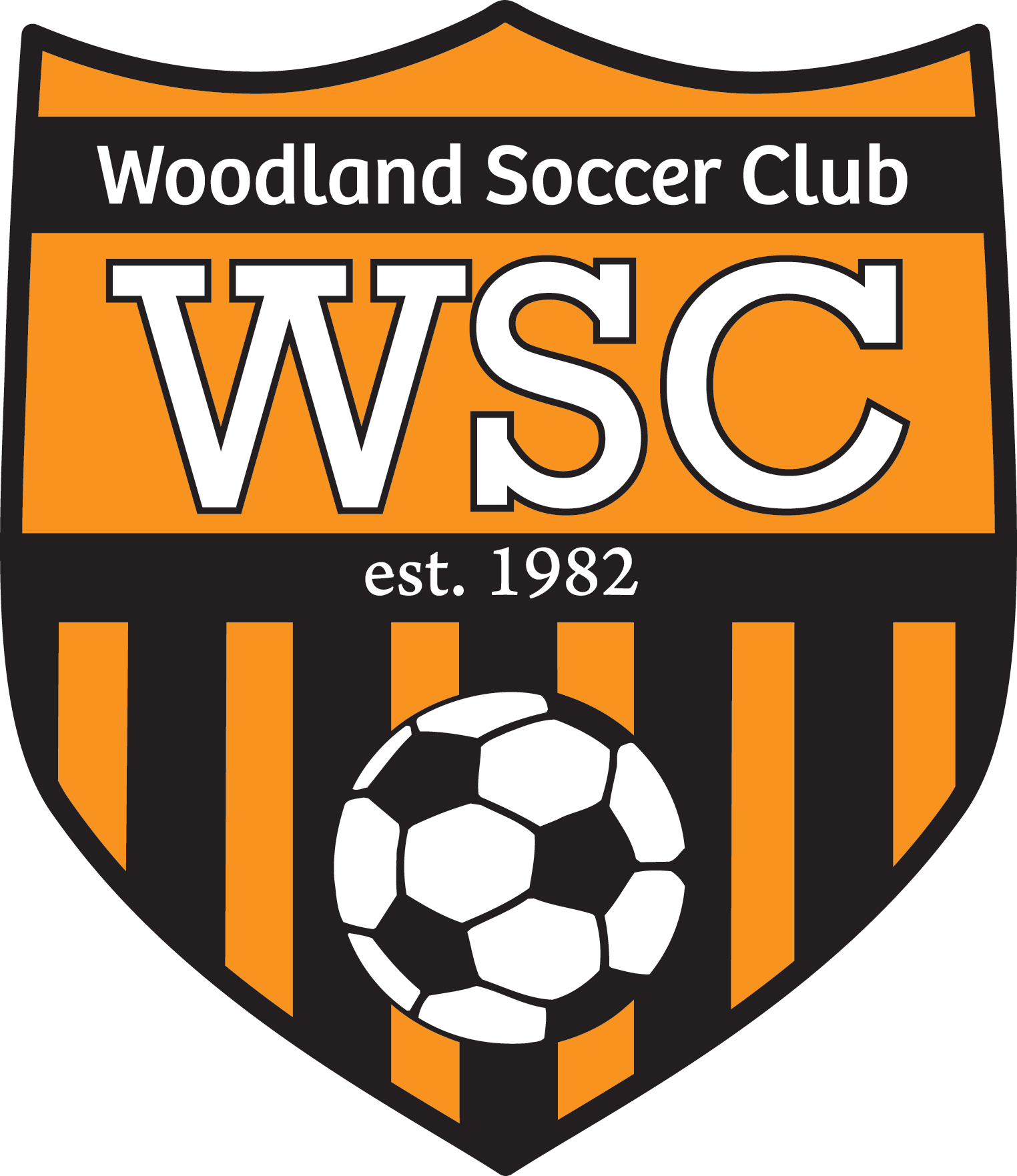 Veo | Level Up Your Game