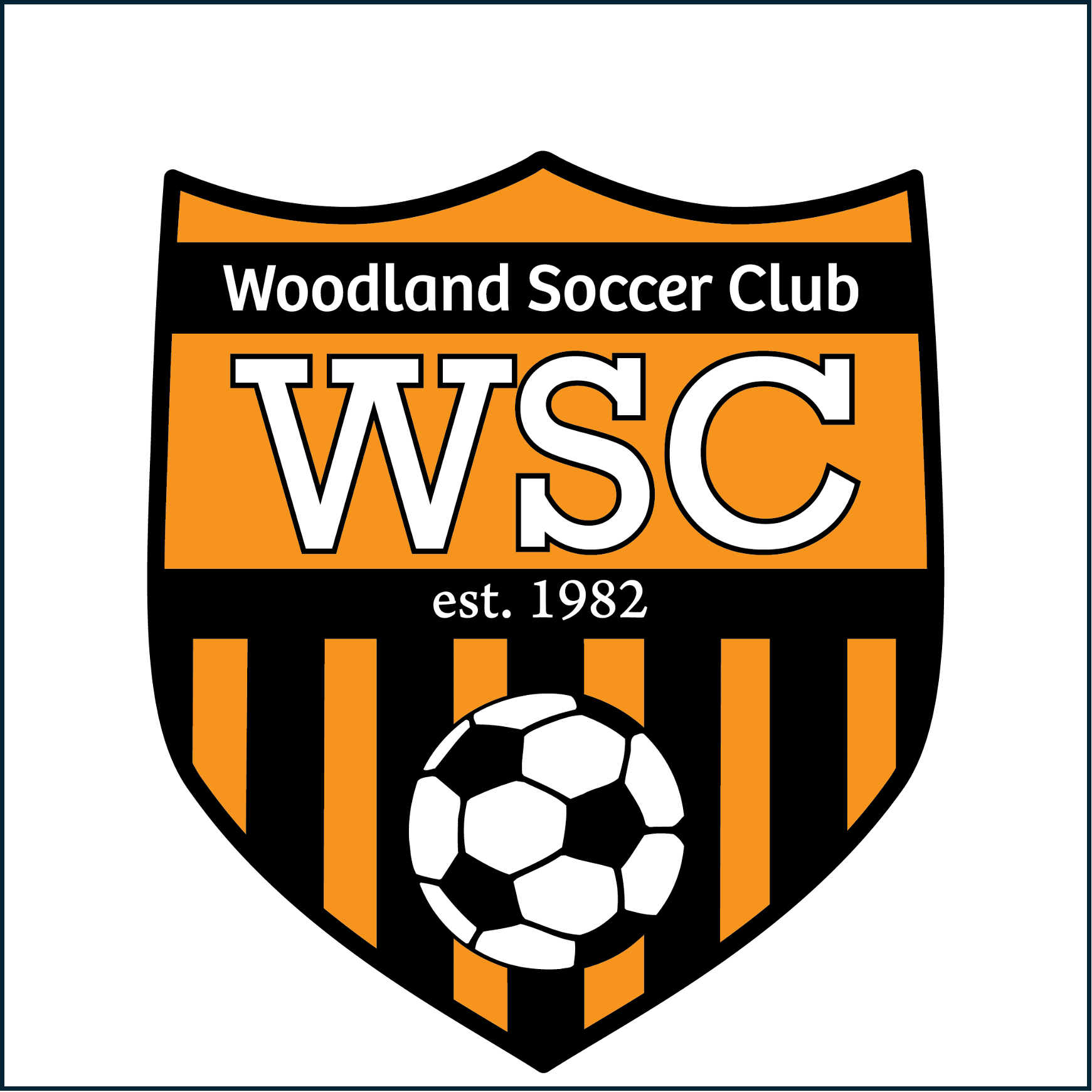 Veo | Level Up Your Game